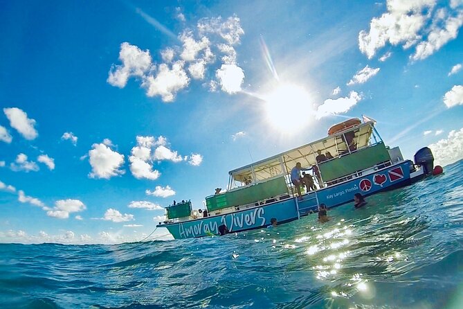 Half-Day Florida Keys Catamaran Snorkel Adventure - Snorkeling in the Florida Marine Sanctuary