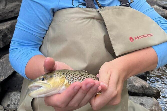Half Day Fly Fishing Lesson on Clear Creek near Denver - FAQ