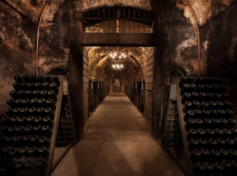 Half-Day Food and Wine Experience in Franciacorta - An In-Depth Look at the Tour Experience