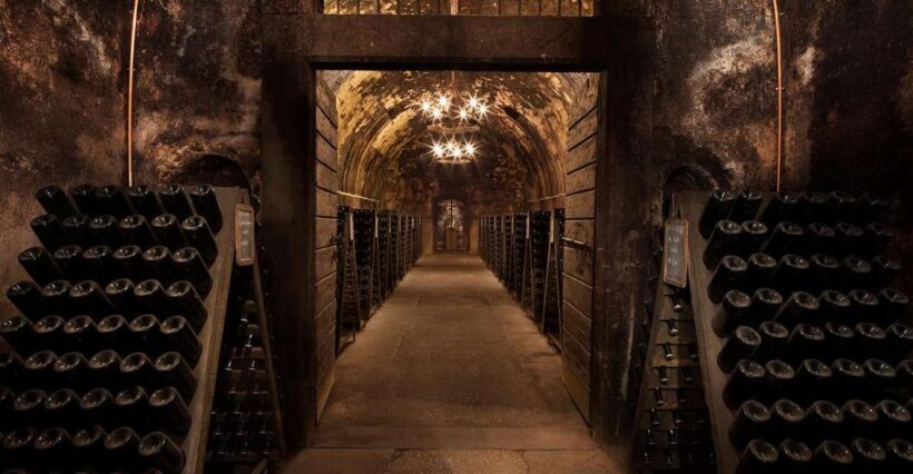Half-Day Food and Wine Experience in Franciacorta - What Travelers Are Saying