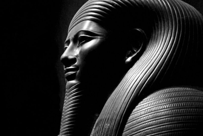 Half Day from Milan: discover the Egyptian Museum of Turin - Discover the Egyptian Museum of Turin on a Half-Day Excursion from Milan