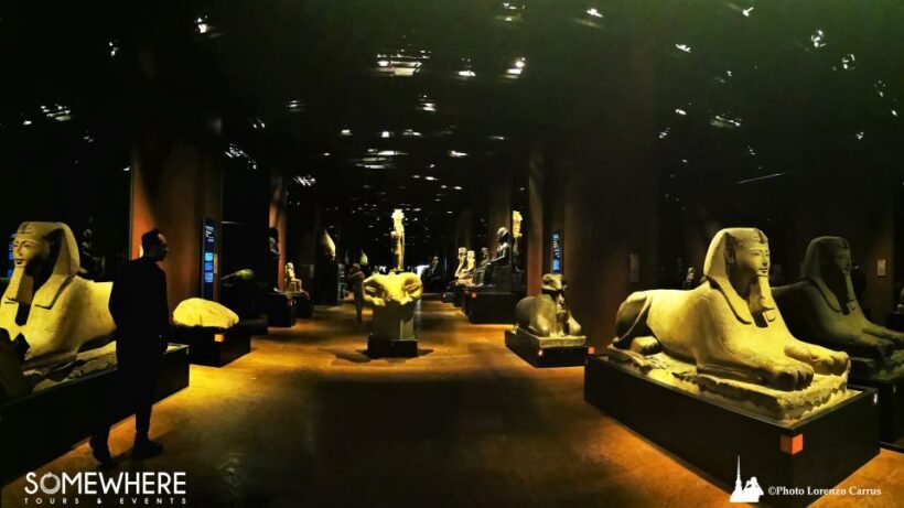 Half Day from Milan: discover the Egyptian Museum of Turin - Key Points