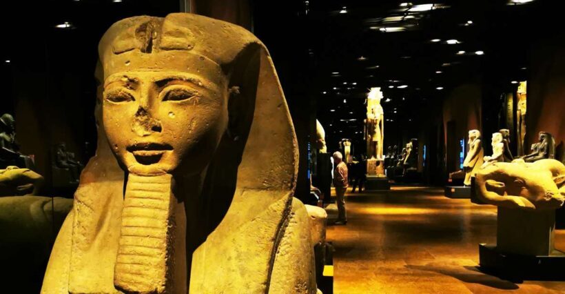 Half Day from Milan: discover the Egyptian Museum of Turin - The Logistics and Timing