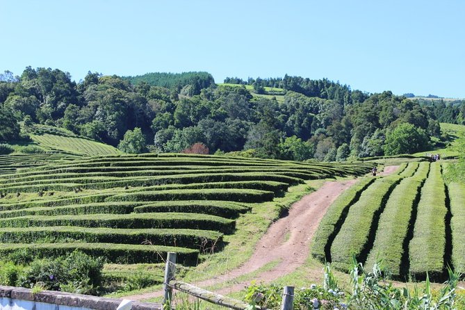 Half Day Furnas And Hot Springs - Pickup and Accessibility