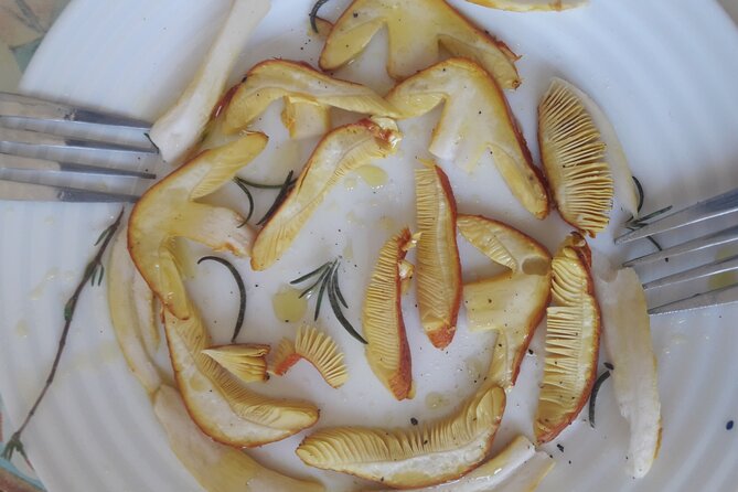 Half Day Gastronomic Wild Walk in Girona - Key Points