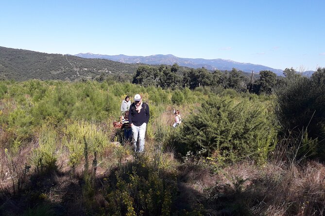 Half Day Gastronomic Wild Walk in Girona - Discovering Natures Bounty