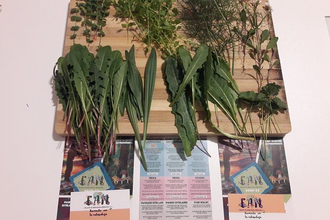 Half Day Gastronomic Wild Walk in Girona - Observing and Learning