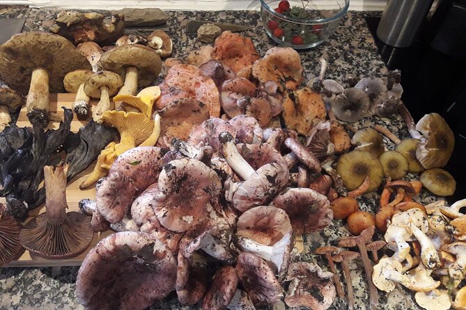 Half Day Gastronomic Wild Walk in Girona - Accessibility and Recommendations