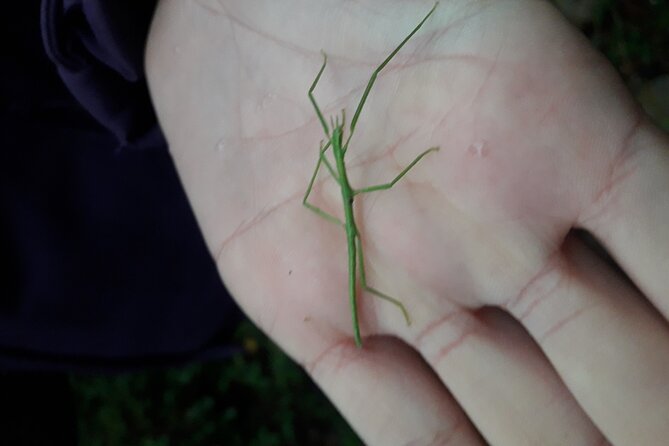 Half Day Gastronomic Wild Walk in Girona - Booking and Cancellation Policy