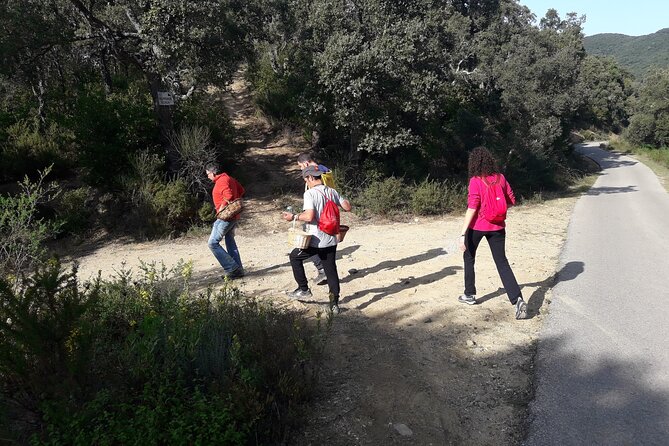 Half Day Gastronomic Wild Walk in Girona - Experience Highlights