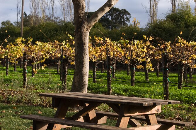 Half-Day Gramma Wine Tasting Tour in Iasi - Included and Not Included