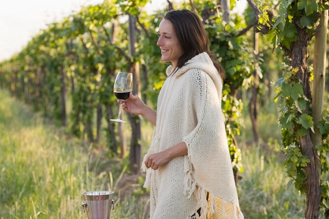 Half-Day Gramma Wine Tasting Tour in Iasi - Practical Details and Logistics