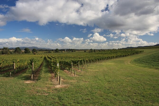 Half-Day Gramma Wine Tasting Tour in Iasi - The Value Proposition