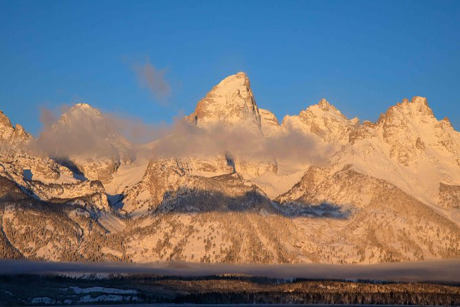 Half-Day Grand Teton Wildlife Private Safari Tour - Cancellation Policy