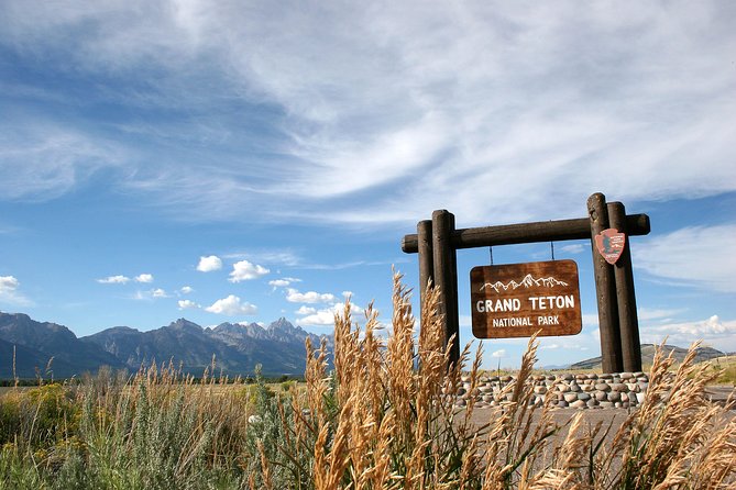 Half-Day Grand Teton Wildlife Safari Private Tour - Final Thoughts: Is It Worth It?