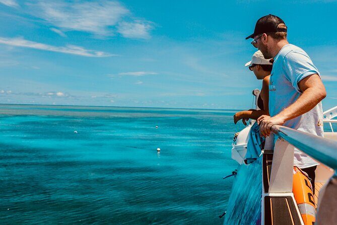 Half Day Great Barrier Reef Snorkeling Tour - Quick and Efficient: The Fast Boat Advantage