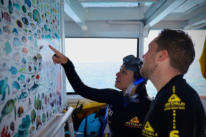 Half Day Great Barrier Reef Snorkeling Tour - The Reef Itself: Vibrant, Colorful, and Accessible