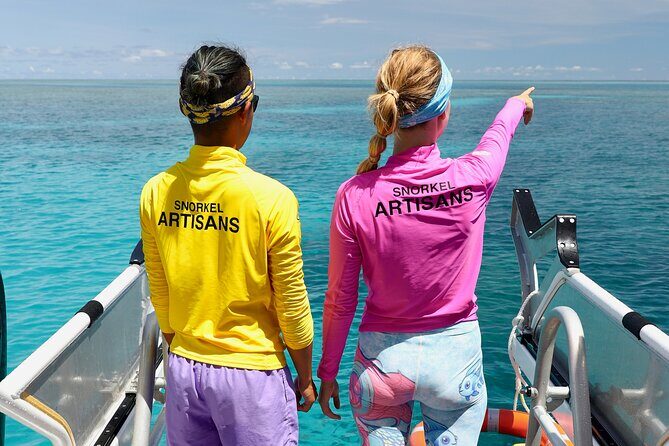 Half Day Great Barrier Reef Snorkeling Tour - What Travelers Are Saying