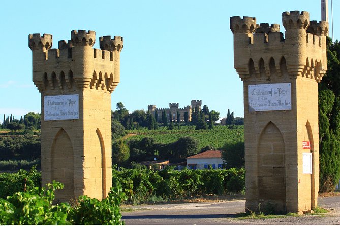 Half Day Great Vineyard Tour From Avignon - Discovering the Rhône Valley Terroir