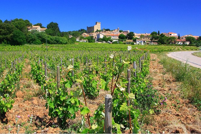 Half Day Great Vineyard Tour From Avignon - Tasting Grand Cru Wines