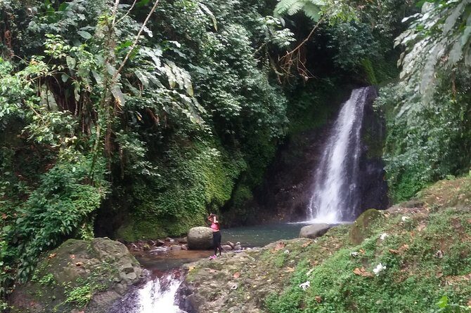 Half Day Grenada Seven Sisters, Grand Etang Nature Center Hiking Tour - The Itinerary in Detail