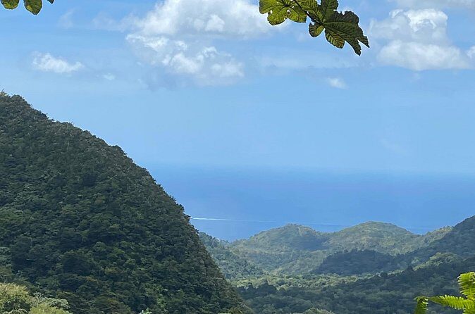 Half Day Grenada Seven Sisters, Grand Etang Nature Center Hiking Tour - Final Thoughts: Is This Tour for You?