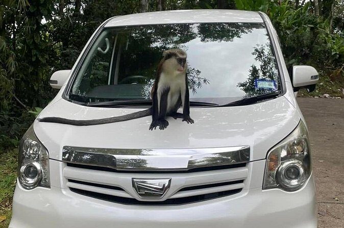 Half-Day Grenada Tour With Easy - Who Will Love This Tour?