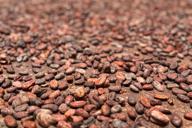 Half-Day Grenada Tour With Easy - The Sum Up