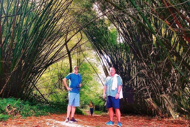 Half Day Group Tour to Tobago Atlantic Coast - FAQ