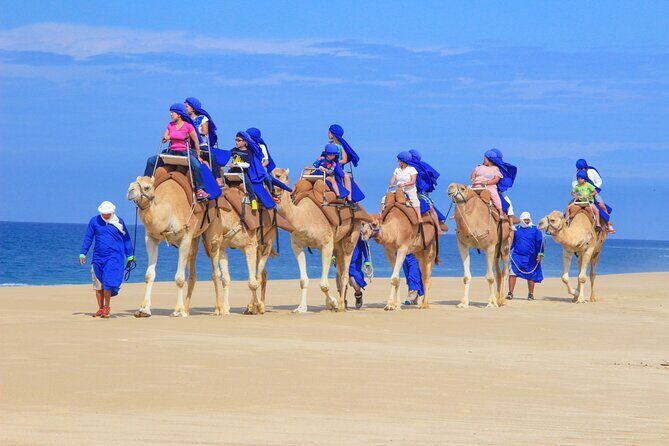 Half Day Guided Camel Safari in Cabo San Lucas - Exploring the Half Day Guided Camel Safari in Cabo San Lucas