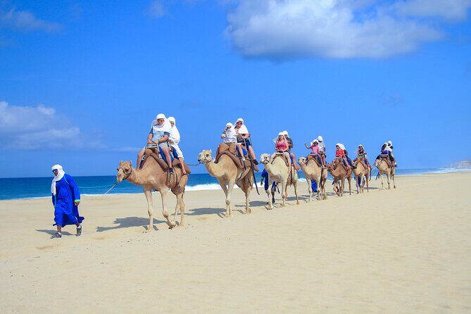 Half Day Guided Camel Safari in Cabo San Lucas - Final Thoughts: Who Should Consider This Tour?
