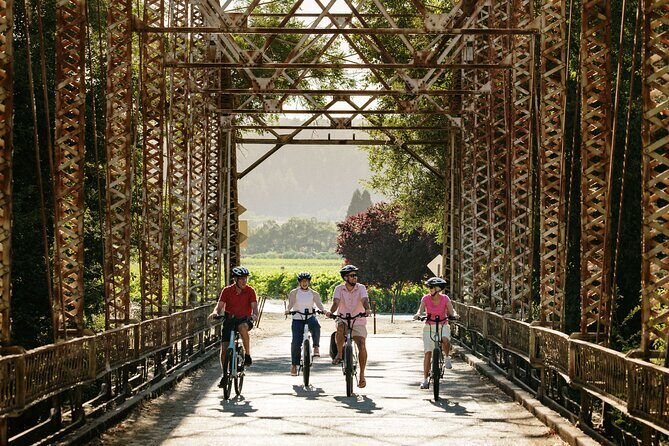 Half Day Guided Electric Bike Wine Tasting Tour with Lunch - Key Points