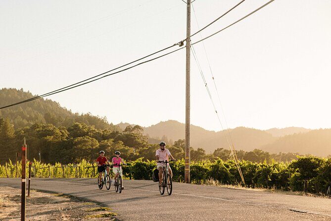 Half Day Guided Electric Bike Wine Tasting Tour with Lunch - What Makes This Tour Special?