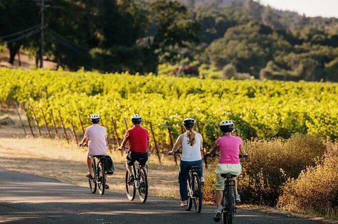 Half Day Guided Electric Bike Wine Tasting Tour with Lunch - Authentic Experiences & Real Feedback