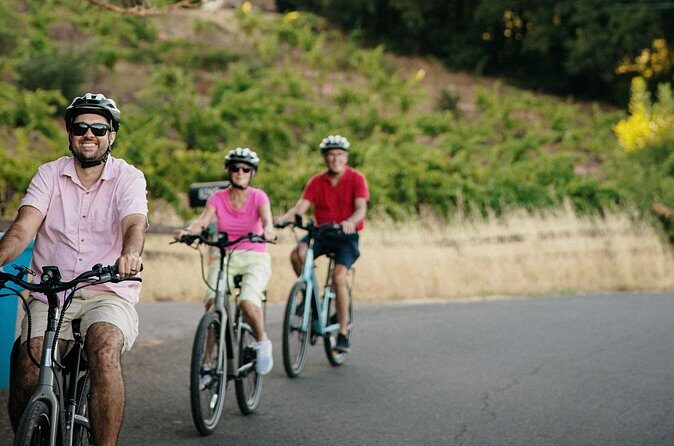Half Day Guided Electric Bike Wine Tasting Tour with Lunch - Who Should Consider This Tour?
