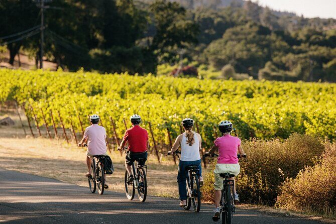 Half Day Guided Electric Bike Wine Tasting Tour with Lunch - FAQs