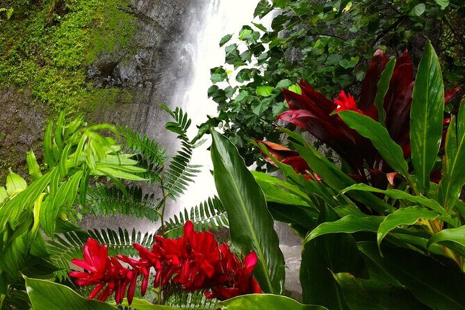 Half-Day Guided Hike to Afareaitu Waterfall - Practical Details and Value