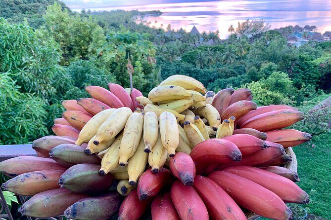 Half-Day Guided Hike to Afareaitu Waterfall - FAQ