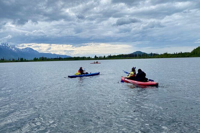 Half-Day Guided Kayak Tour on Knik River - Key Points