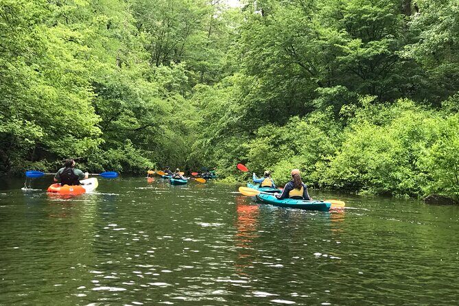 Half-Day Guided Kayaking in the Smoky Mountains of Tallassee - What Makes This Tour Stand Out?