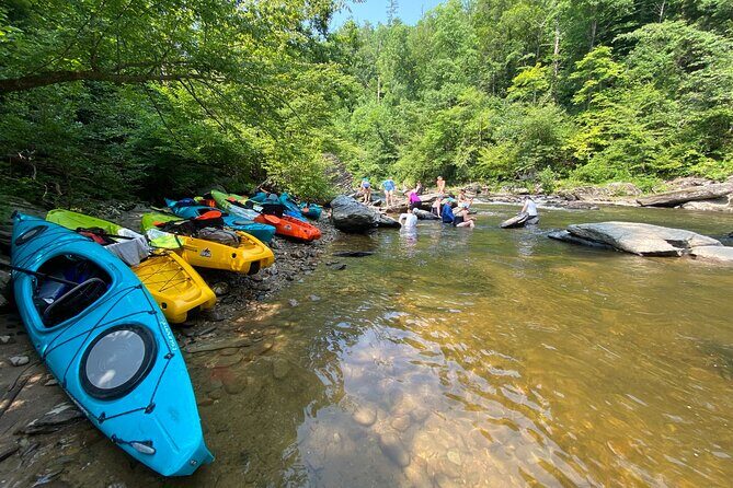 Half-Day Guided Kayaking in the Smoky Mountains of Tallassee - The Itinerary: What to Expect During the Tour