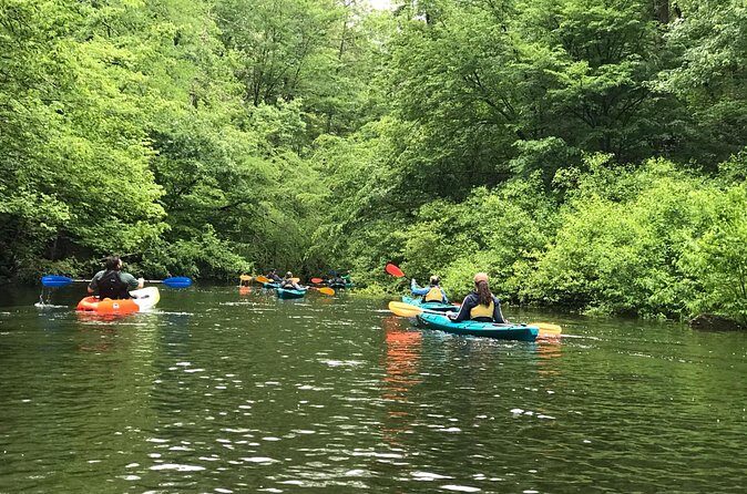 Half-Day Guided Kayaking in the Smoky Mountains of Tallassee - Pricing and Value