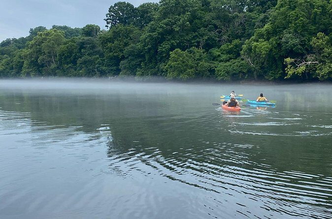 Half-Day Guided Kayaking in the Smoky Mountains of Tallassee - Practical Tips for Participants