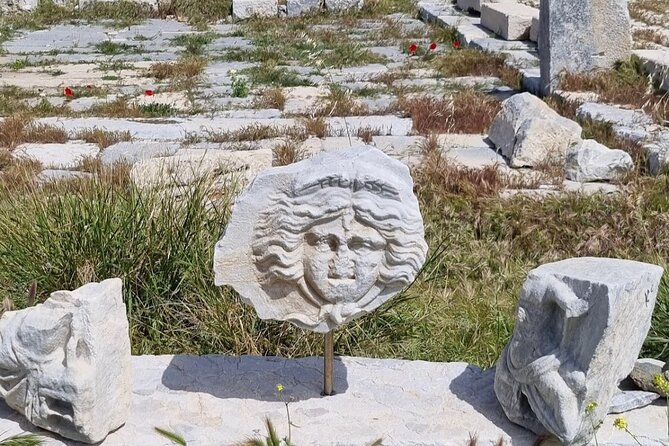 Half Day Guided Knidos Ancient City Tour - Tour Experience