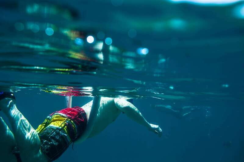 Half Day Guided Snorkel Tour in Los Cabos - Introduction: What to Expect from This Snorkel Adventure