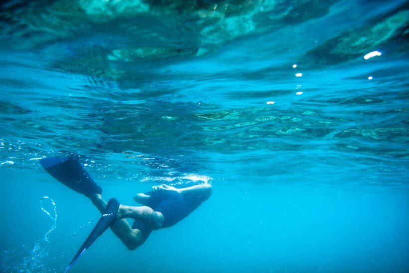 Half Day Guided Snorkel Tour in Los Cabos - The Guide’s Role: Friendliness, Knowledge, and Safety