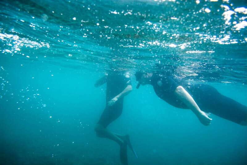 Half Day Guided Snorkel Tour in Los Cabos - Who Is This Tour Best Suited For?