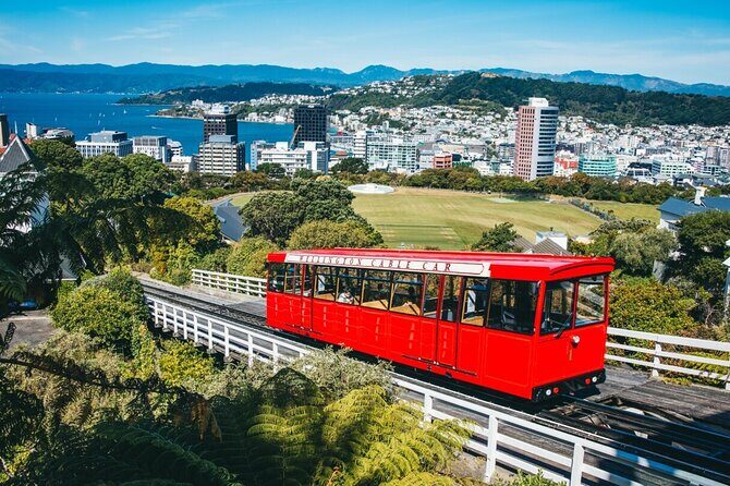 Half Day Guided Tour in Wellington including Cable Car - Key Points