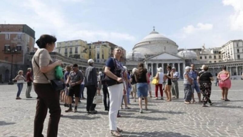 Half-Day Guided Tour: Naples and Pompeii Excavations - Tour Overview and Pricing
