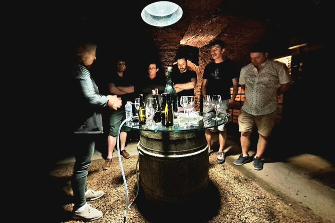 Half-Day Guided Tour on the Burgundy Wine Route in a Classic Car - Participant Information